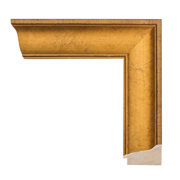 Veined Ogee 2 5/8" Warm Gold Artist Frame - Wholesale Frame Company